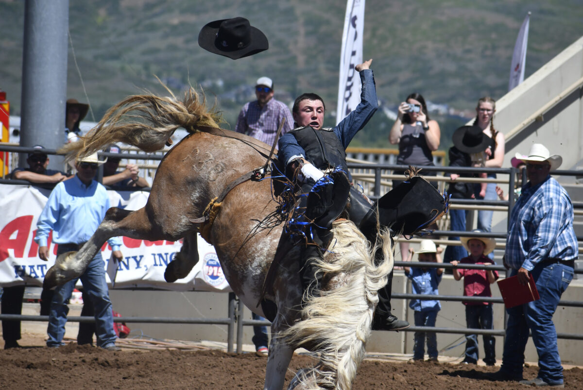 LLOYD: High school rodeo highlights toughness and kindness despite ...